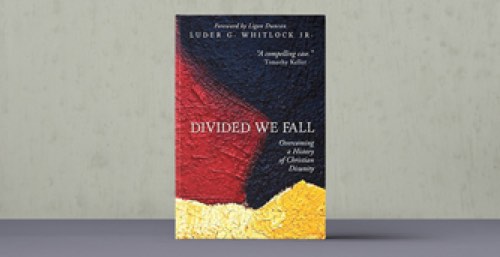 ‘Divided We Fall’ Offers a Needed Exercise in Evangelical Ecumenicism ...